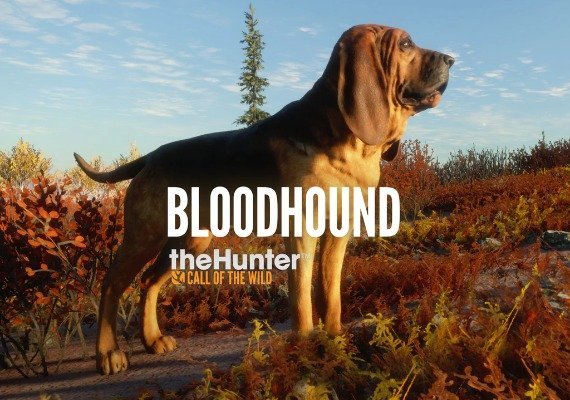 theHunter Call of the Wild Bloodhound Key kaufen Preisvergleich ...